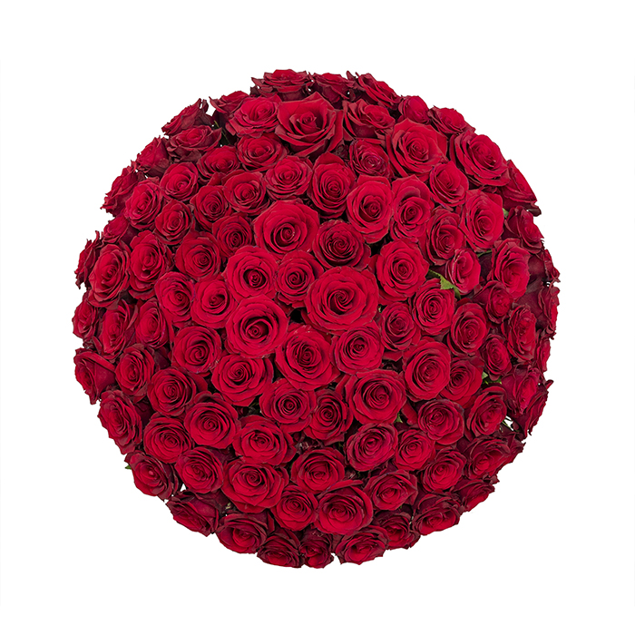 Cupido - Mystic Flowers