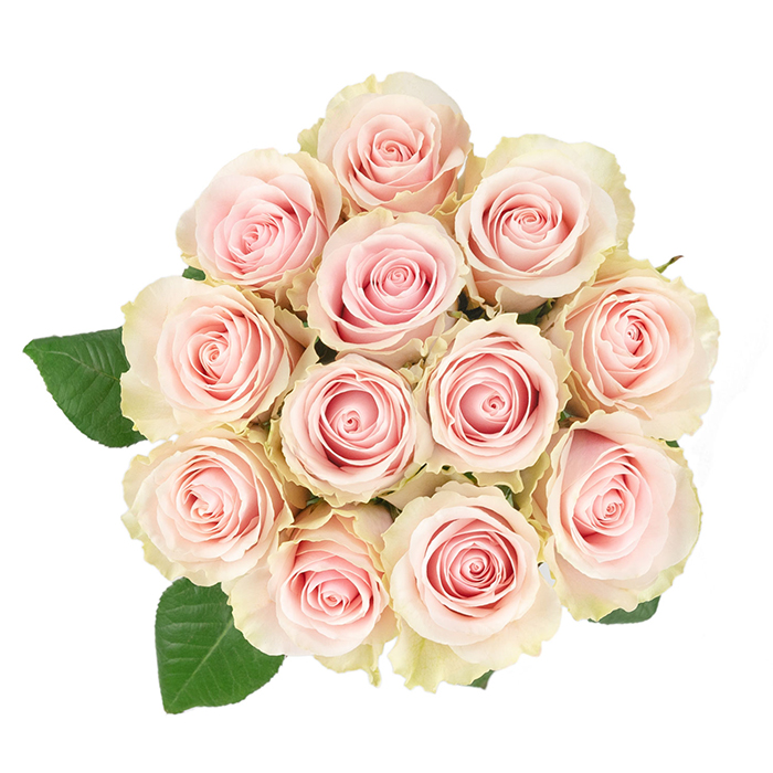 Frutteto - Mystic Flowers