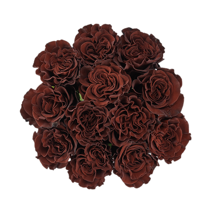 Hearts - Mystic Flowers