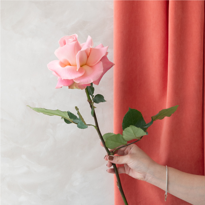 Hermosa - Mystic Flowers