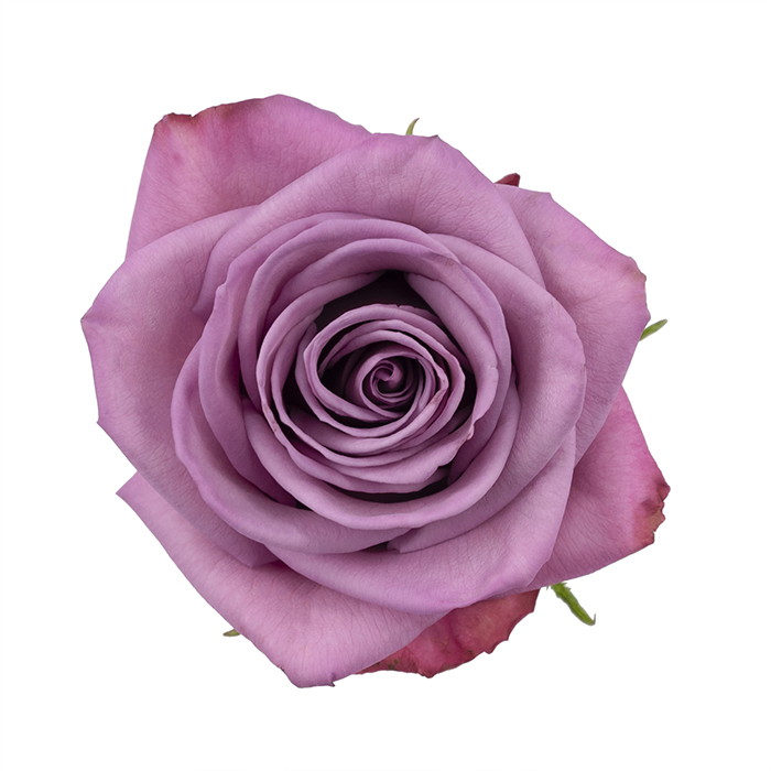 Moody Blues - Mystic Flowers