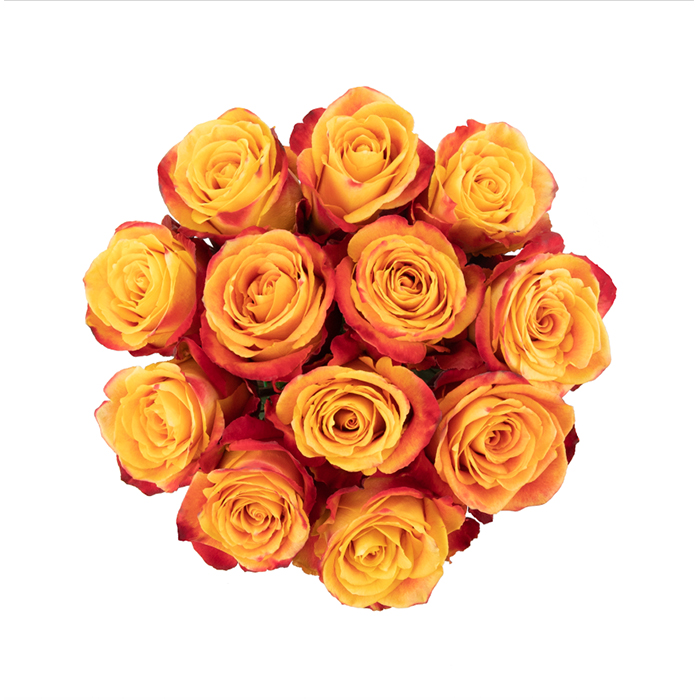 Silantoi - Mystic Flowers