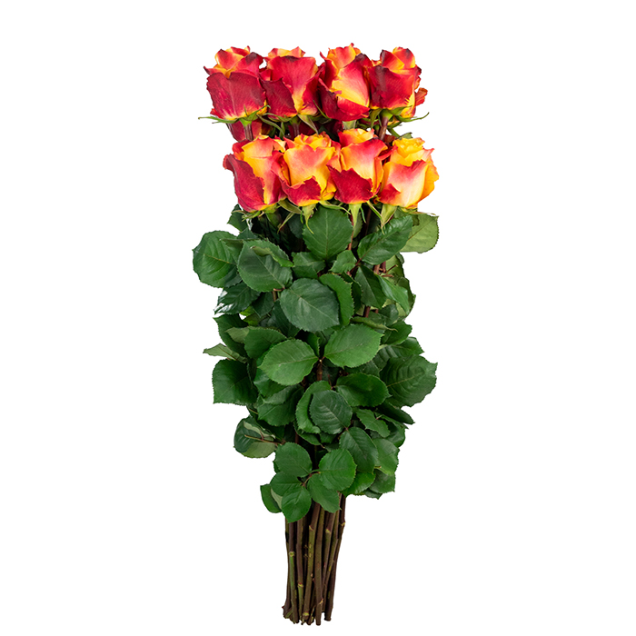 Silantoi - Mystic Flowers