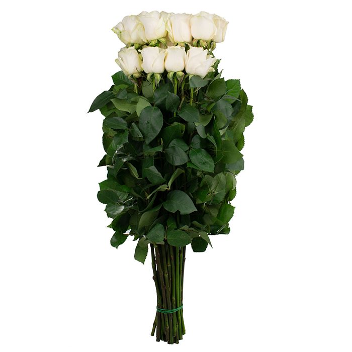 Vendela - Mystic Flowers