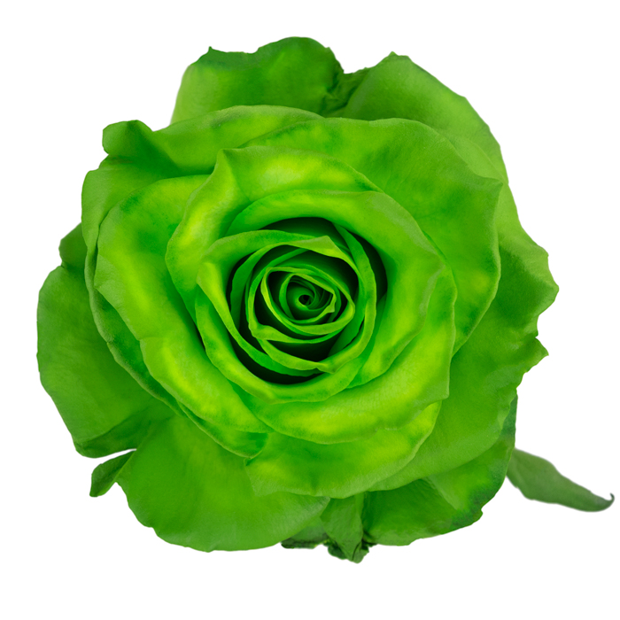 Single Green Flowers