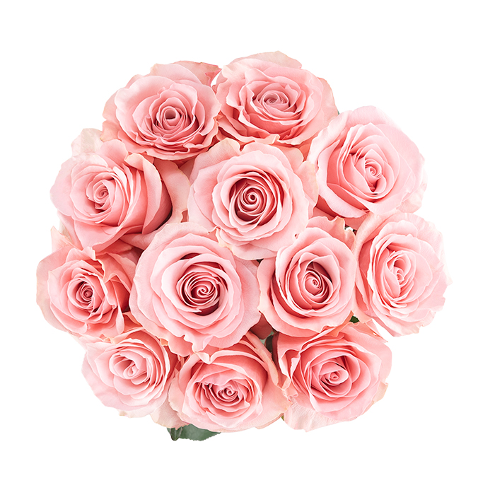 Be Sweet - Mystic Flowers