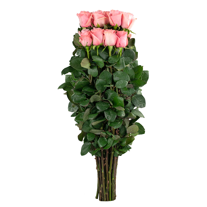 Be Sweet - Mystic Flowers