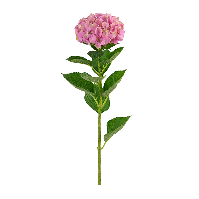 Magical Tender Love - Mystic Flowers