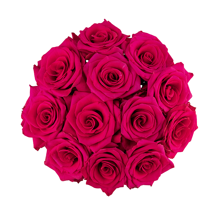 V.I.Pink - Mystic Flowers