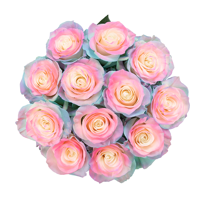 Bubble Gum - Mystic Flowers