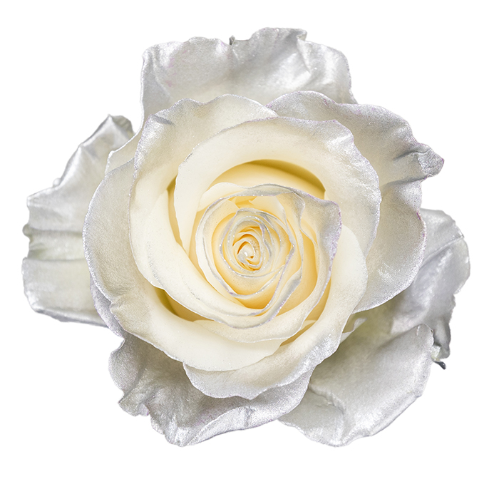 Silver - Mystic Flowers