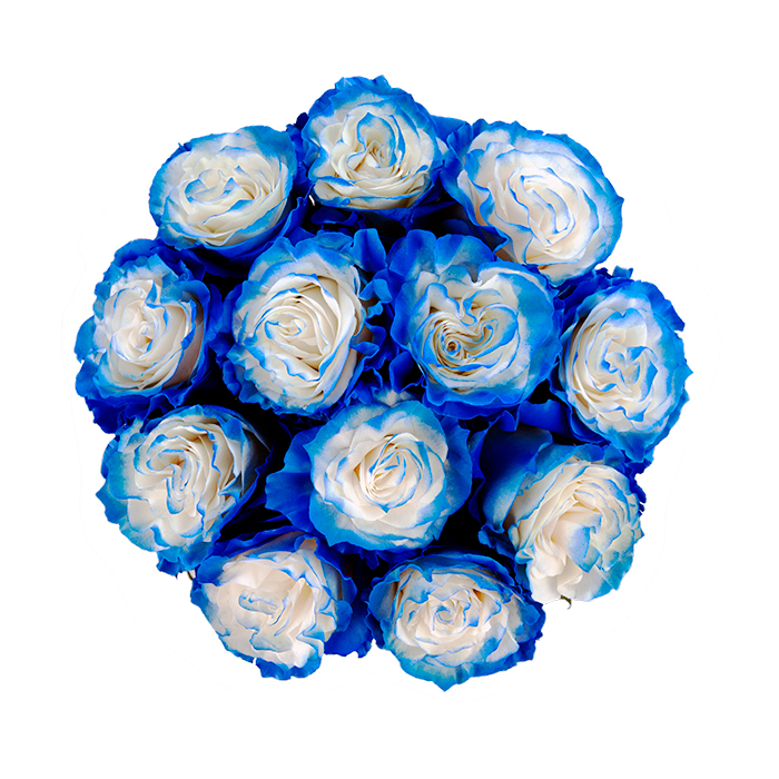Blue Love - Mystic Flowers