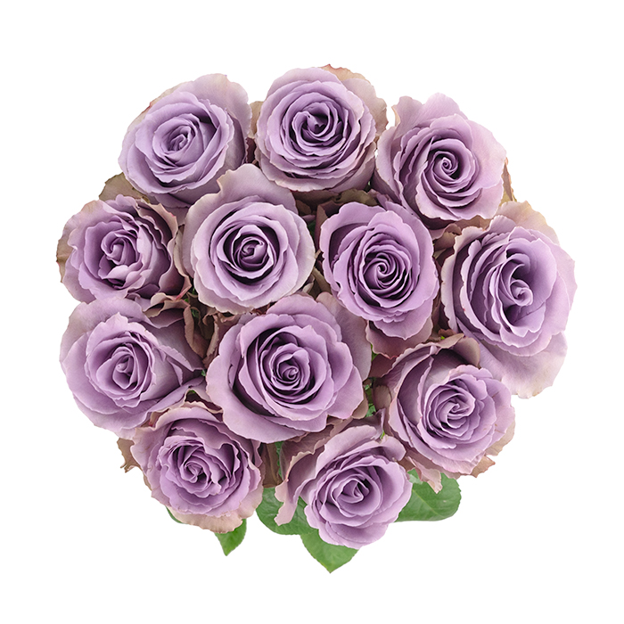 Grey Knights - Mystic Flowers