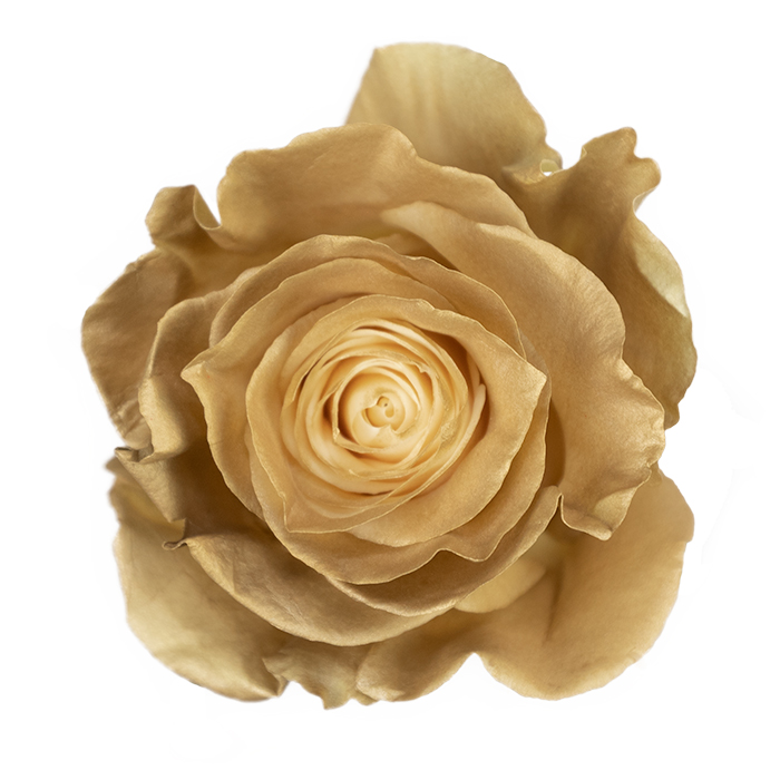 Gold - Mystic Flowers