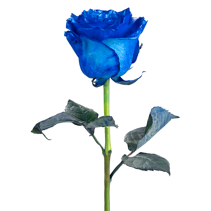 Metallic Blue - Mystic Flowers