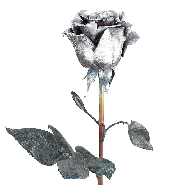 Black Silver Moon - Mystic Flowers