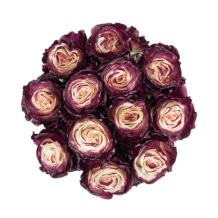 Natural Maroon - Mystic Flowers