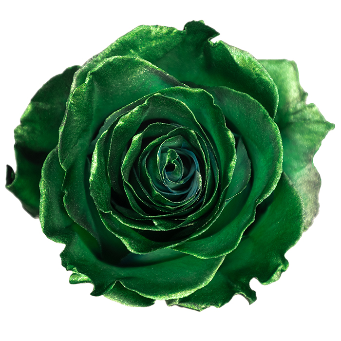Metallic Green - Mystic Flowers