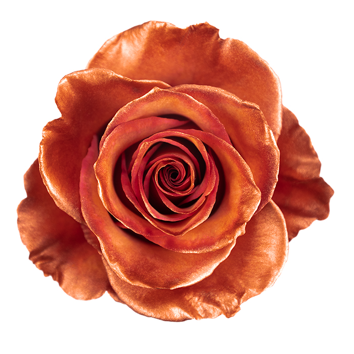 Metallic Copper - Mystic Flowers