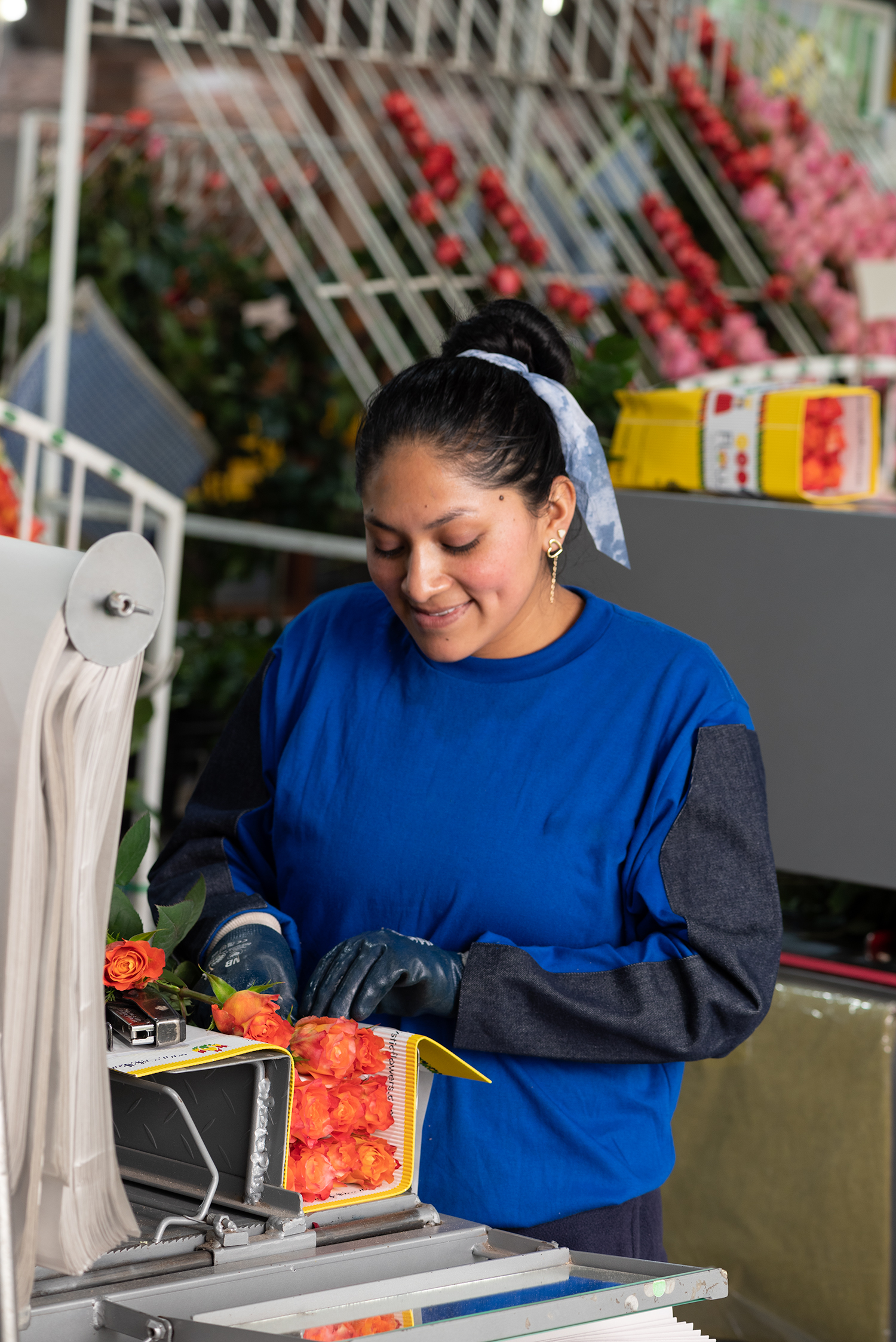 About Us - Mystic Flowers